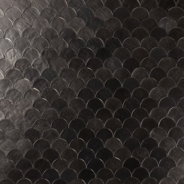 Black Fish Scales Rulers Of The Dark World: Enigmatic Black Fishes